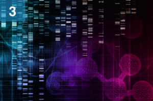 Rootless Hair Analysis - InnoGenomics