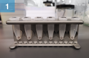 Bone Analysis - InnoGenomics